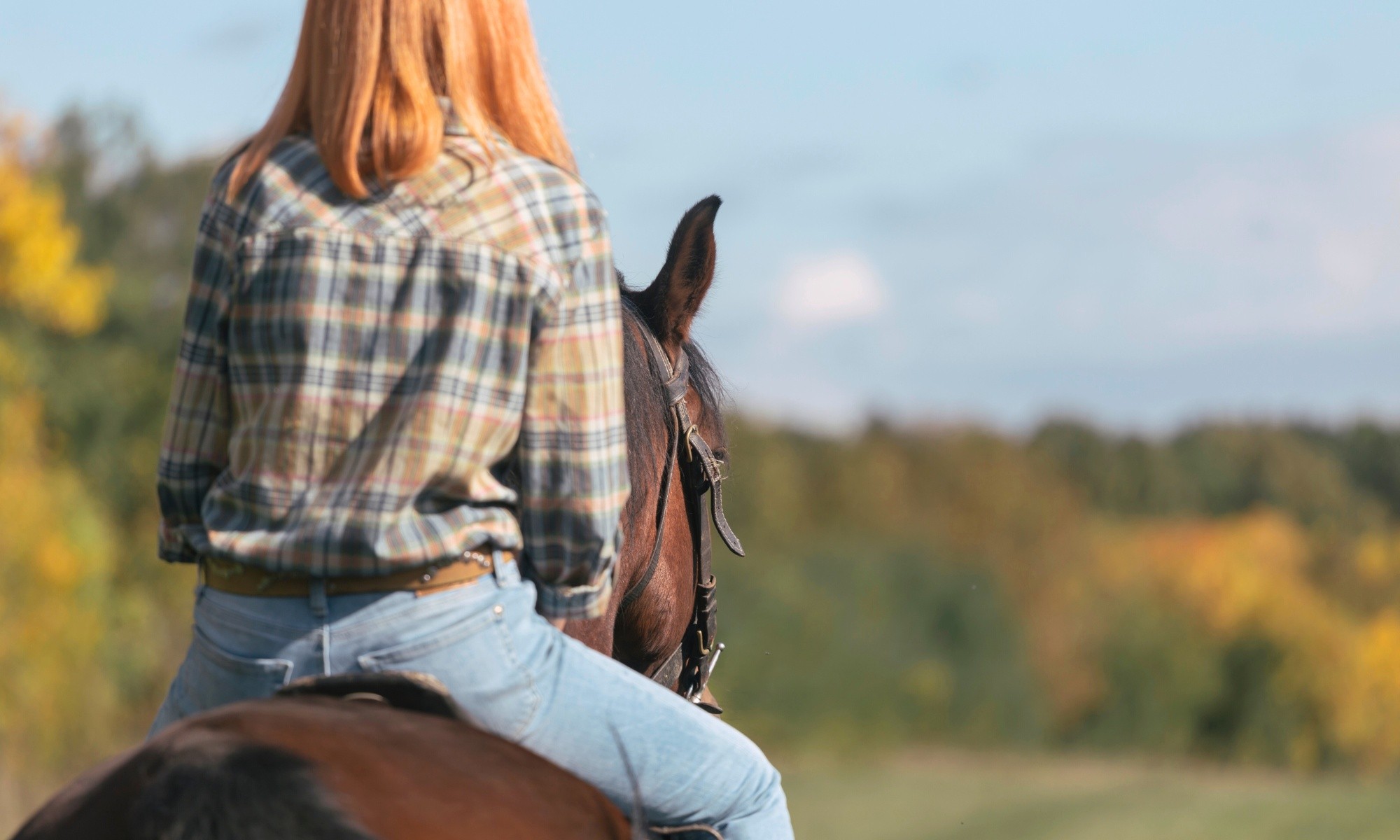 Horseback ride into the nature, Park of the Roman Castles