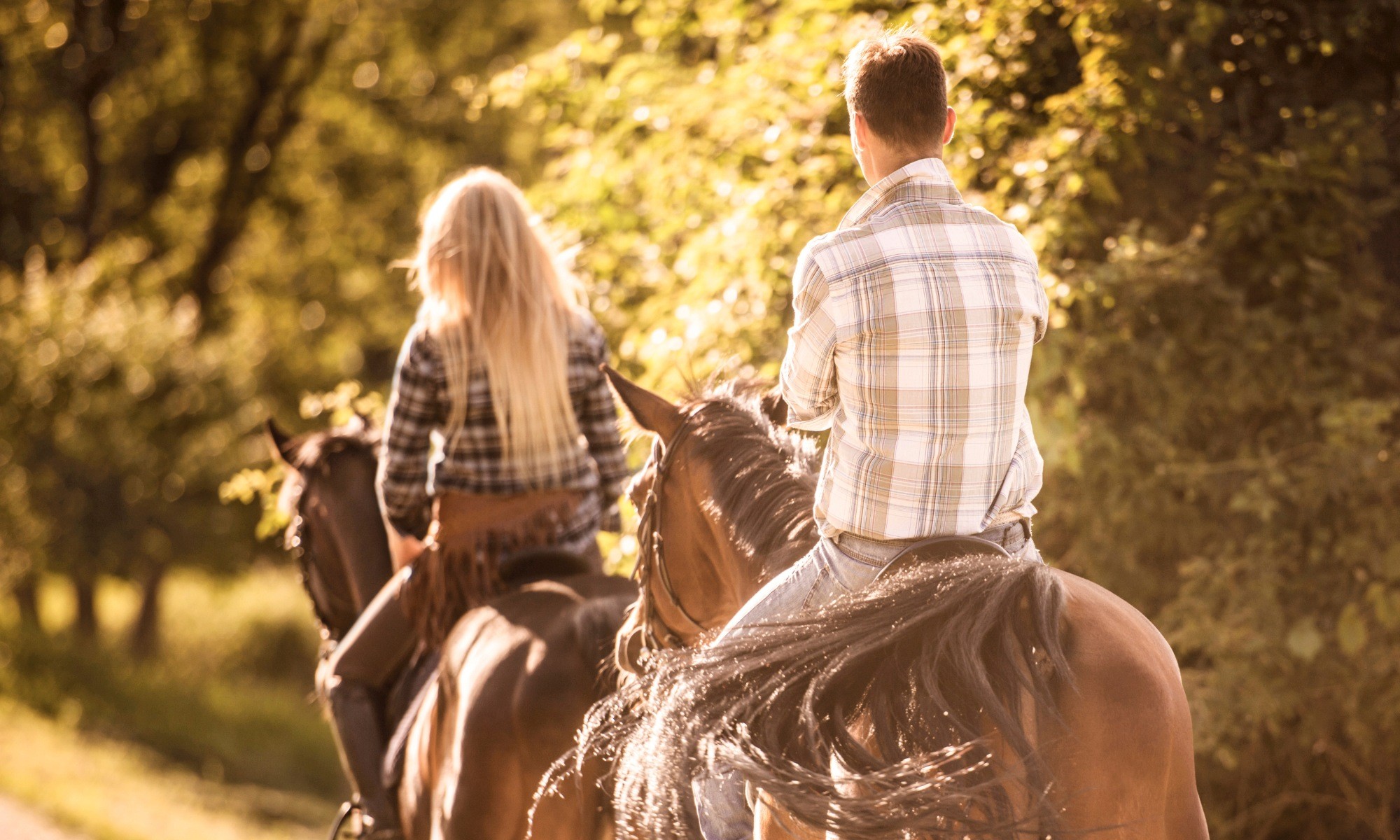 Horse riding at sunset, Roman Castles Park