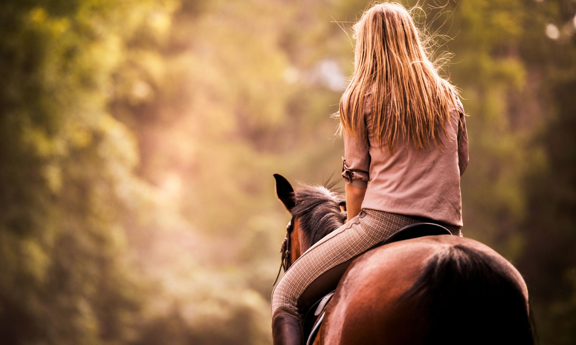 Horseback Riding - Italy Adventure