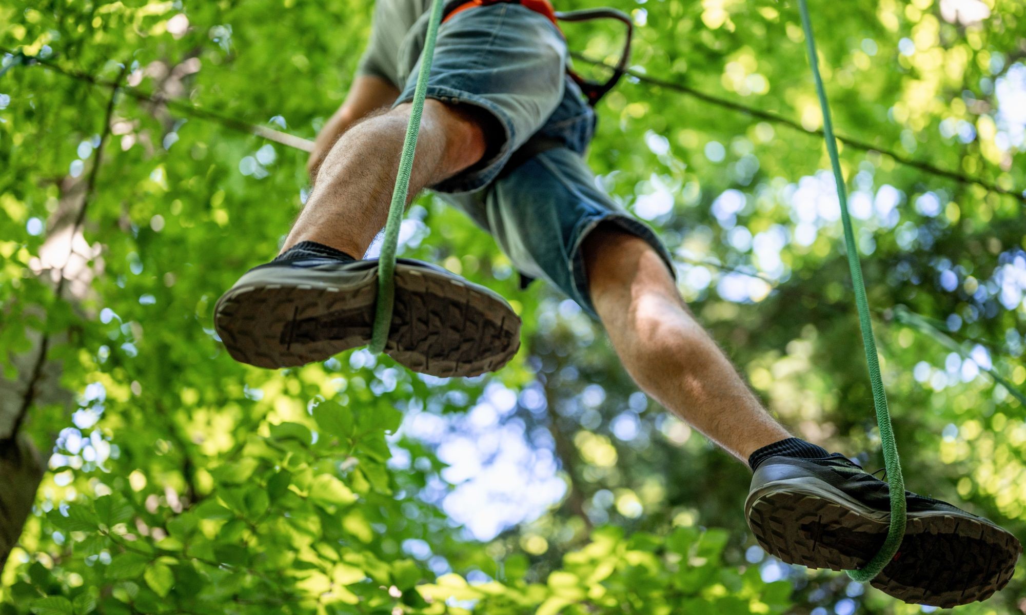 Tree experience - Italy Adventure